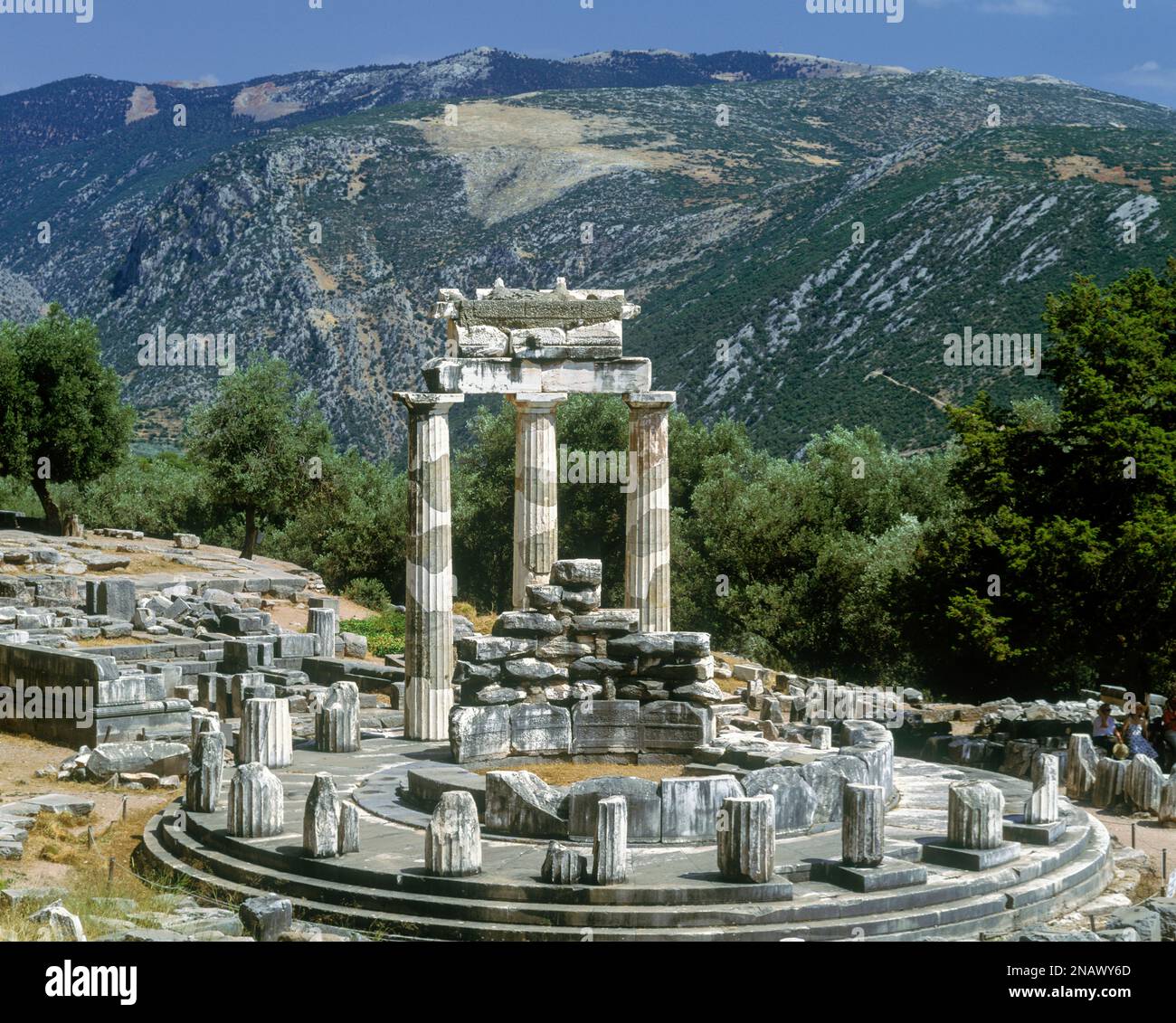 THOLOS RUINS MARMARIA TERRACE DELPHI GREECE Stock Photo - Alamy THOLOS RUINS MARMARIA TERRACE DELPHI GREECE Stock Photo - Alamy