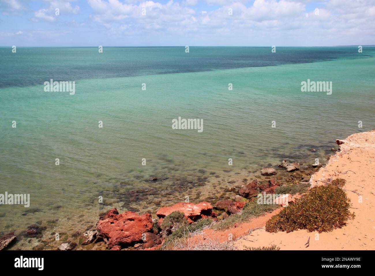 françois péron park - shark bay - australia Stock Photo - Alamy