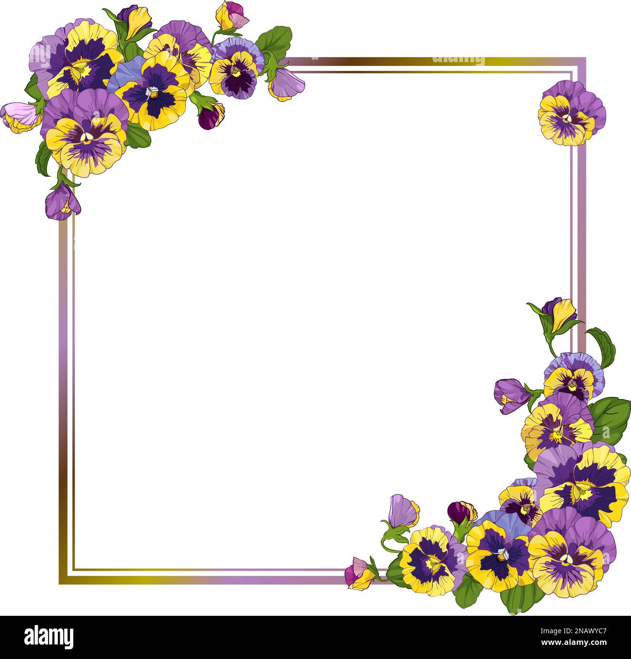 Purple Flower Page Borders
