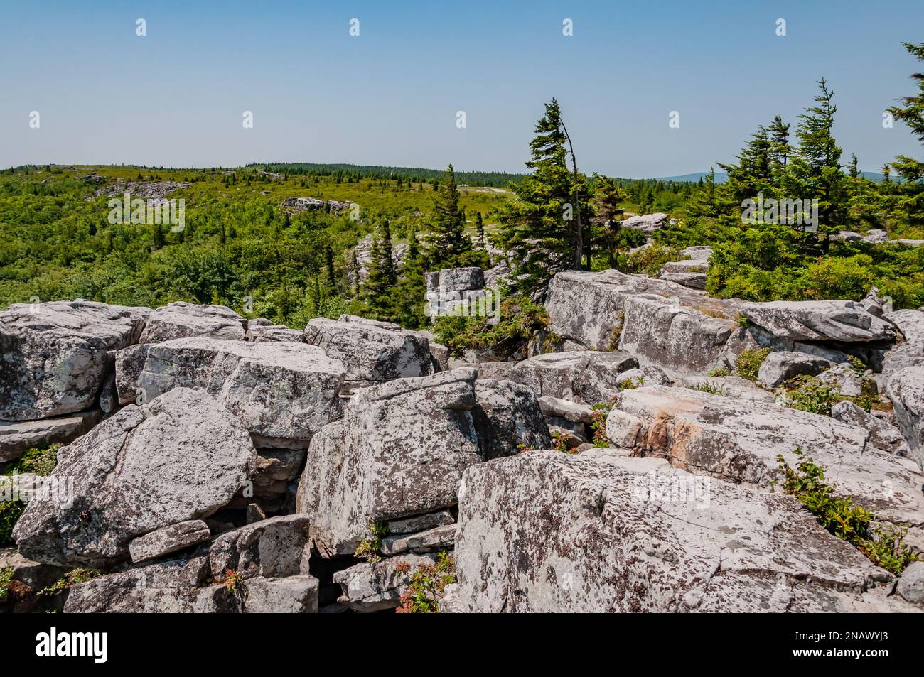 Hiking in Bear Rocks Preserve, West Virginia USA, West Virginia Stock ...