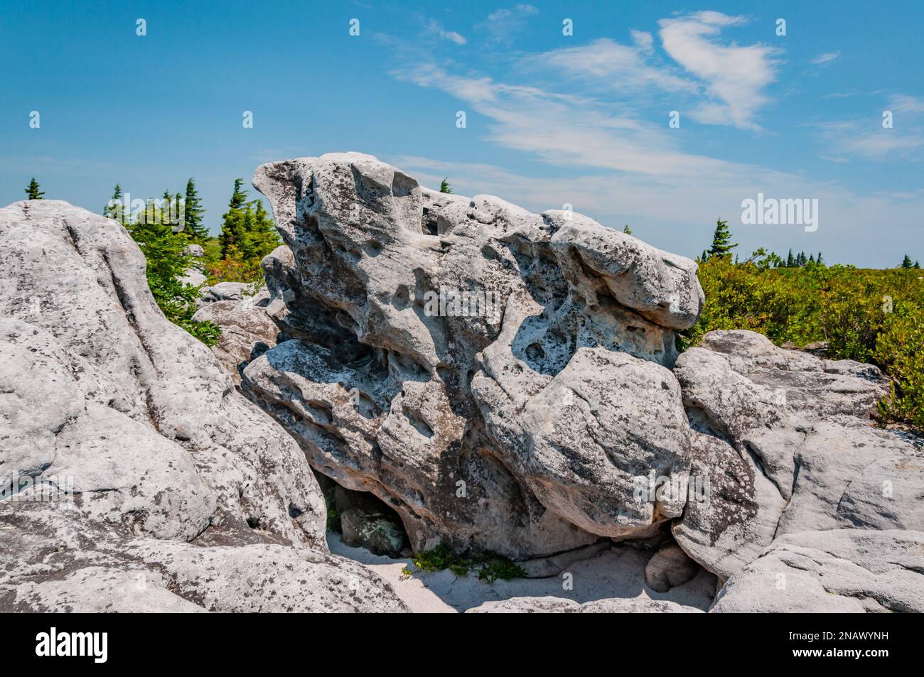 Holy Rock Formation, Bear Rocks Preserve, West Virginia USA, West ...