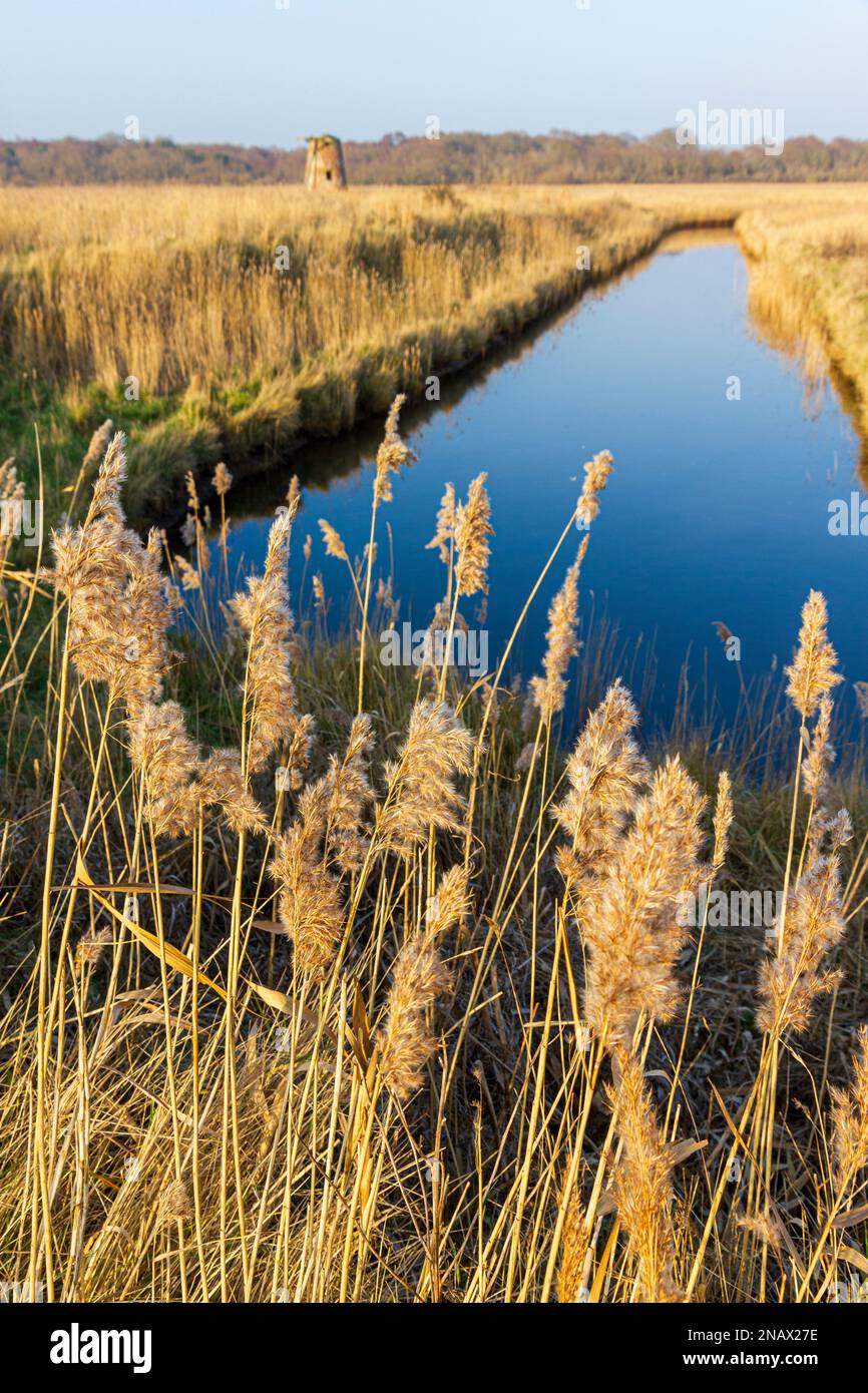 Westwood Marshes Mill, Walberswick, Suffolk Stock Photo - Alamy