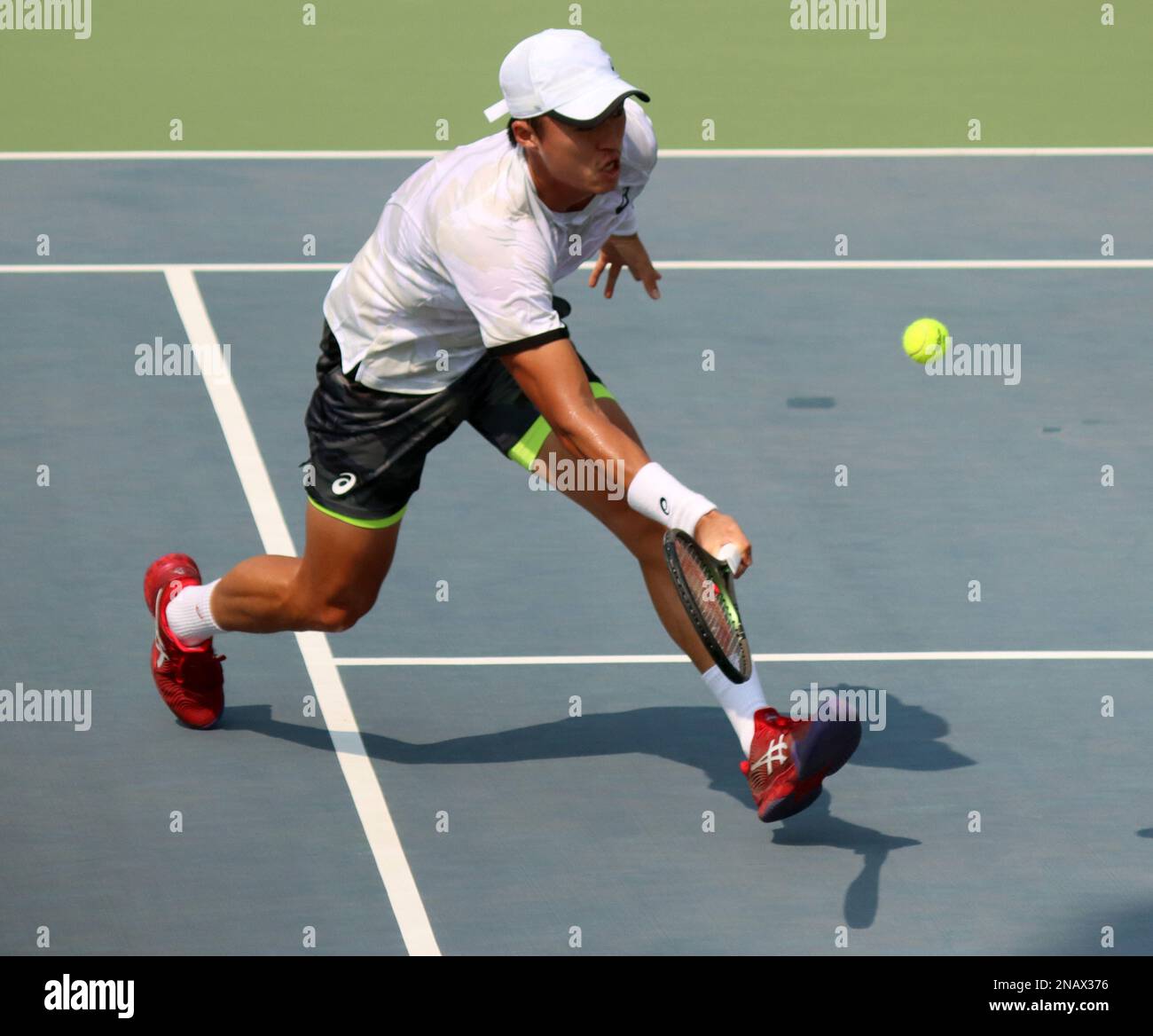 India tennis player hi-res stock photography and images - Alamy