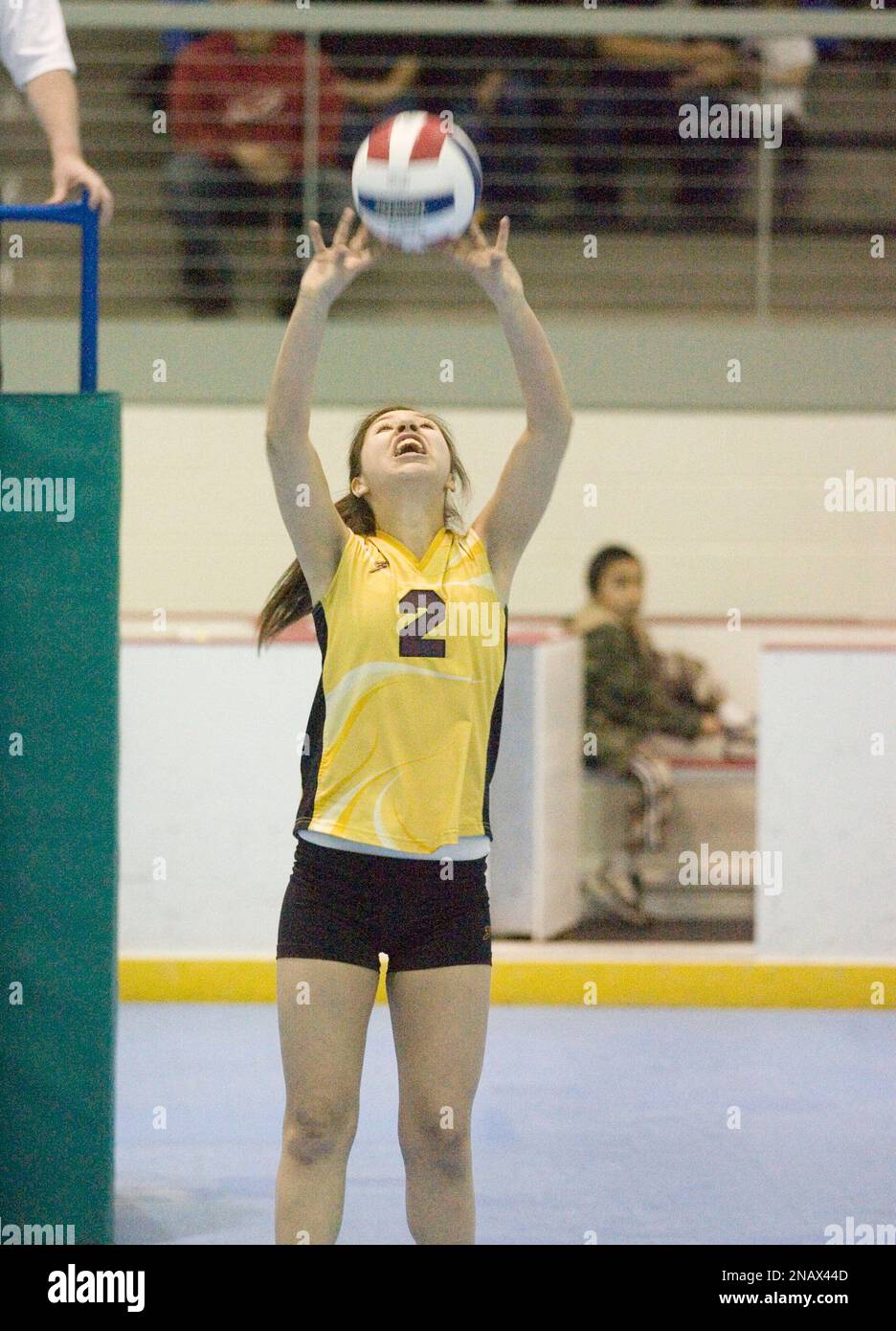 Mt Edgecumbe Brave Katelyn Cook sets the ball during the third second ...