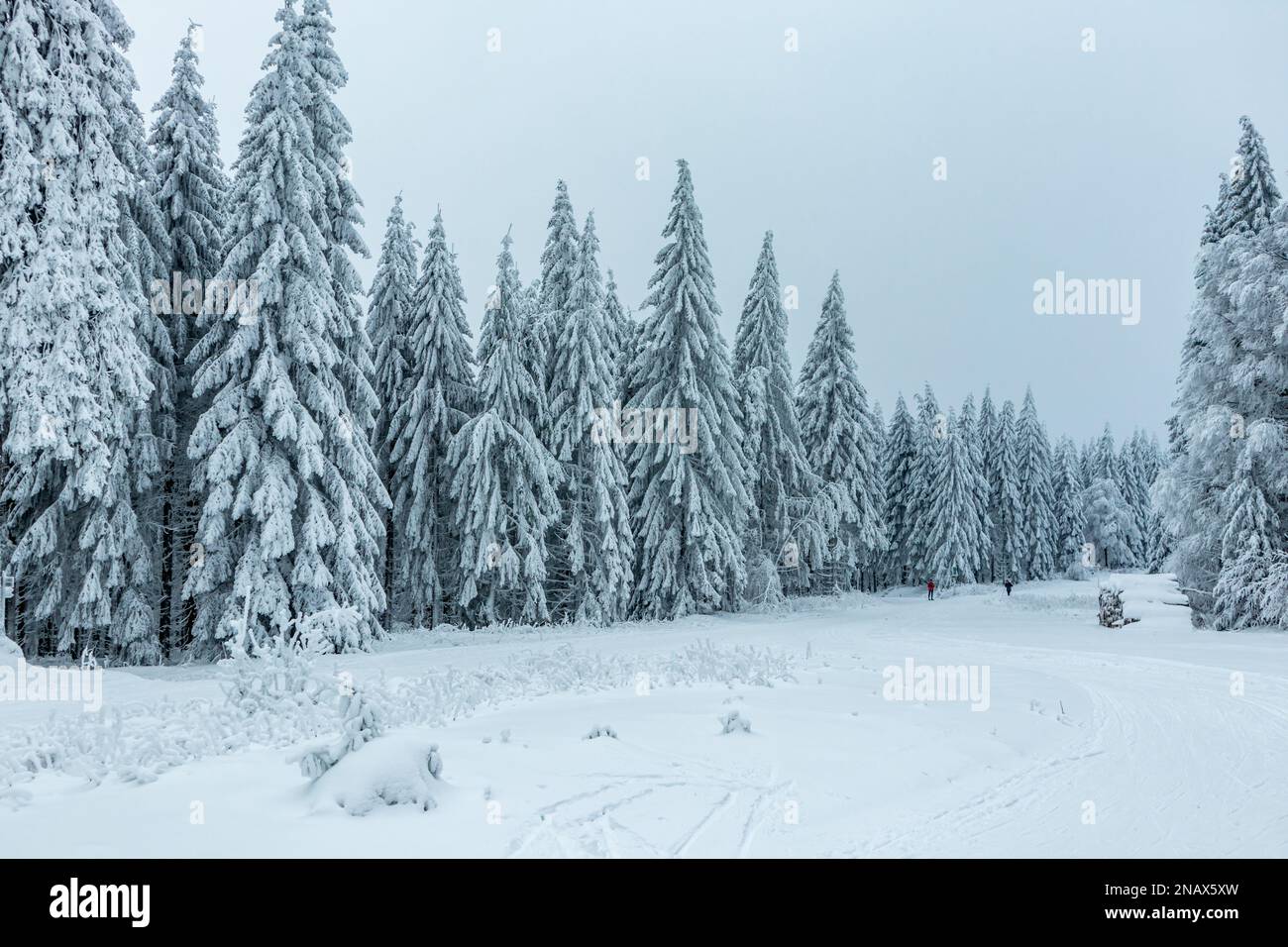 Beautiful winter landscape on the heights of the Thuringian Forest near ...