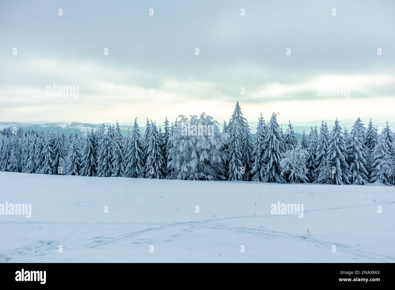 Beautiful winter landscape on the heights of the Thuringian Forest near ...
