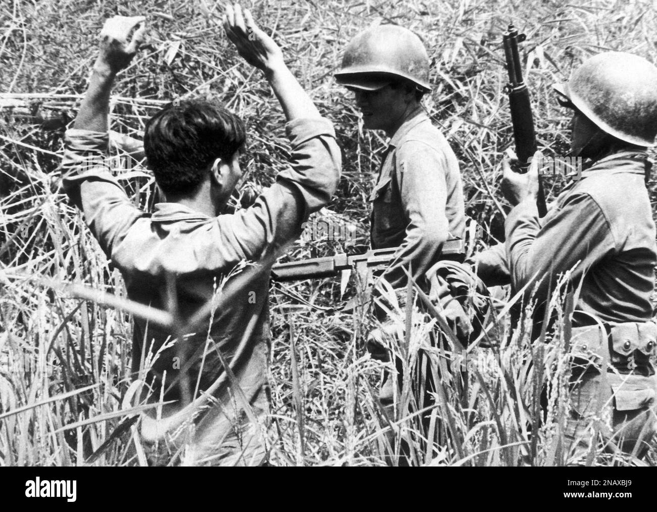 Vietnamese soldiers capture a communist Viet Cong guerrilla hiding in ...