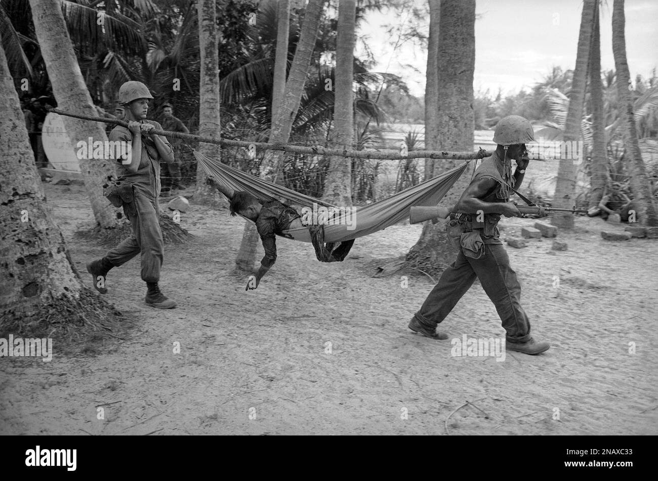 **Eds Note: Graphic Content** Marines carry body of dead Viet Cong at ...
