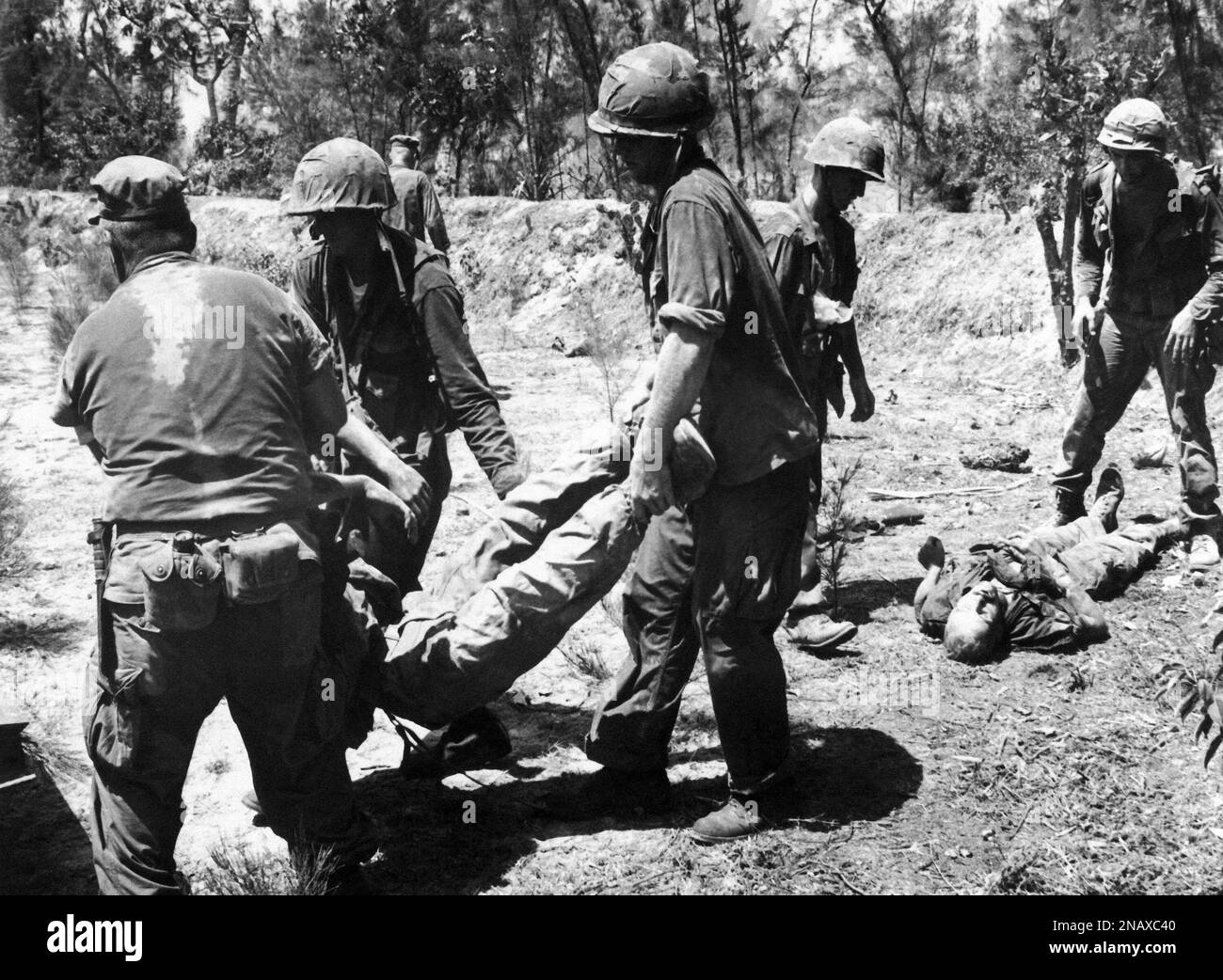 **Eds Note: Graphic Content** Marines carry body of dead Viet Cong in ...