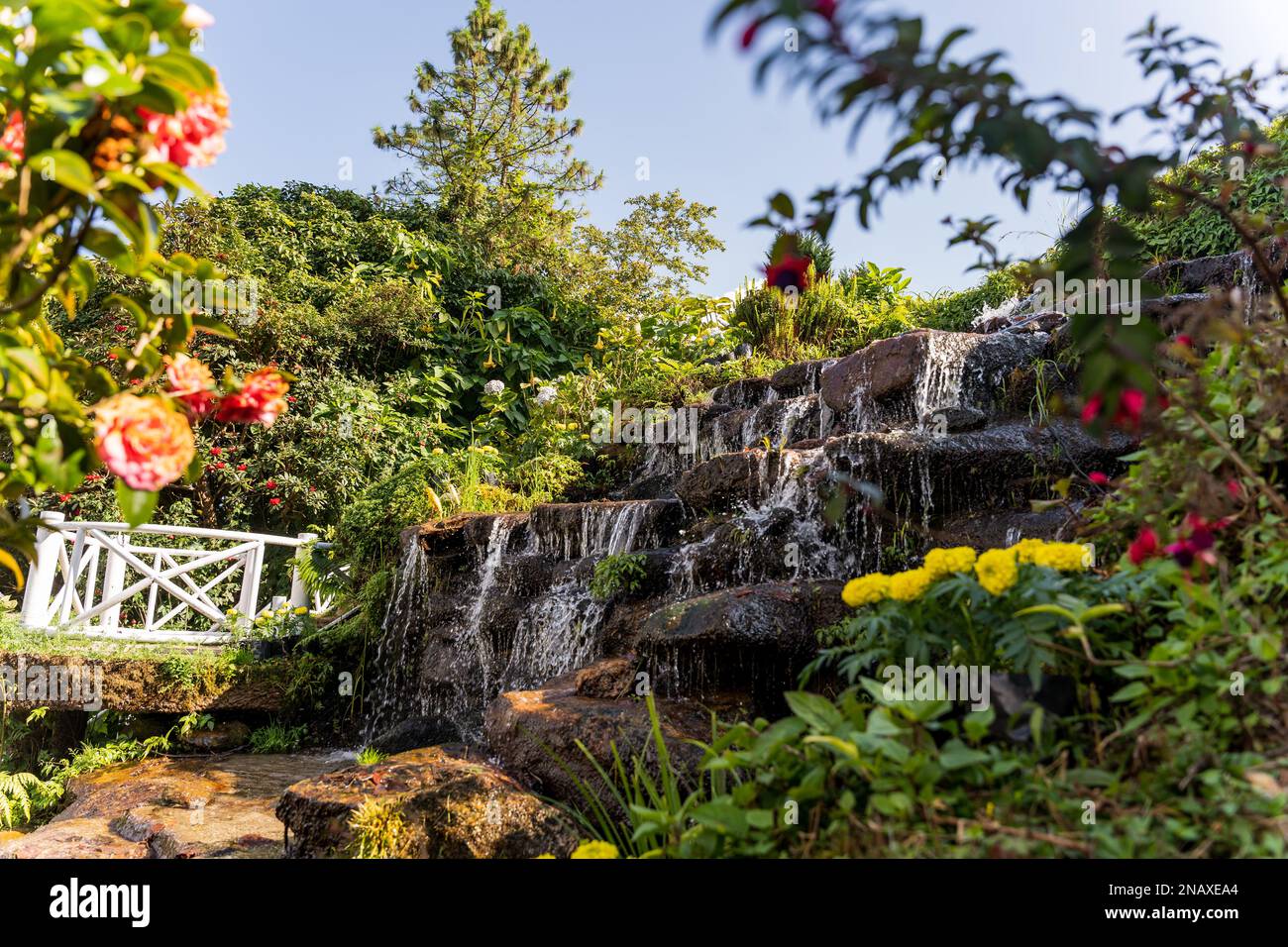 Doi Inthanon National Park in Chiang Mai (Thailand Stock Photo - Alamy