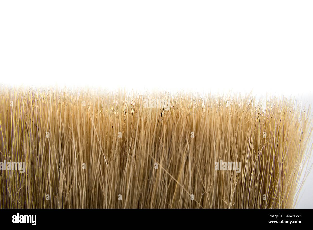 Brush bristle closeup on a white background Stock Photo - Alamy