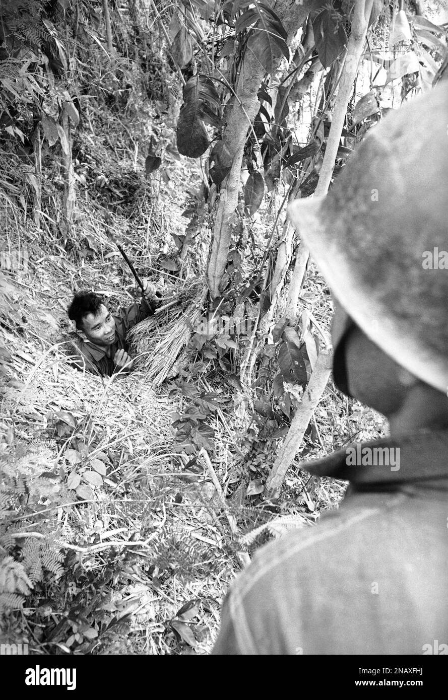 Vietnamese soldiers capture a communist Viet Cong Guerrilla hiding in ...