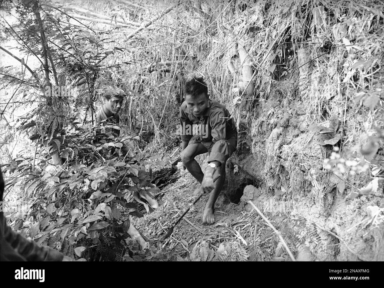 Vietnamese soldiers capture a communist Viet Cong Guerrilla hiding in ...