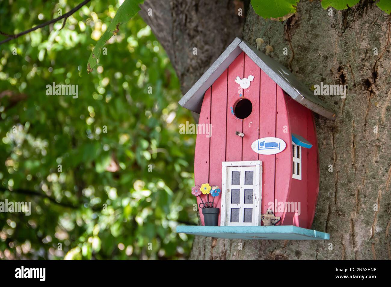 Hand made wooden shelter, bird house, placed on the tree in forest ...