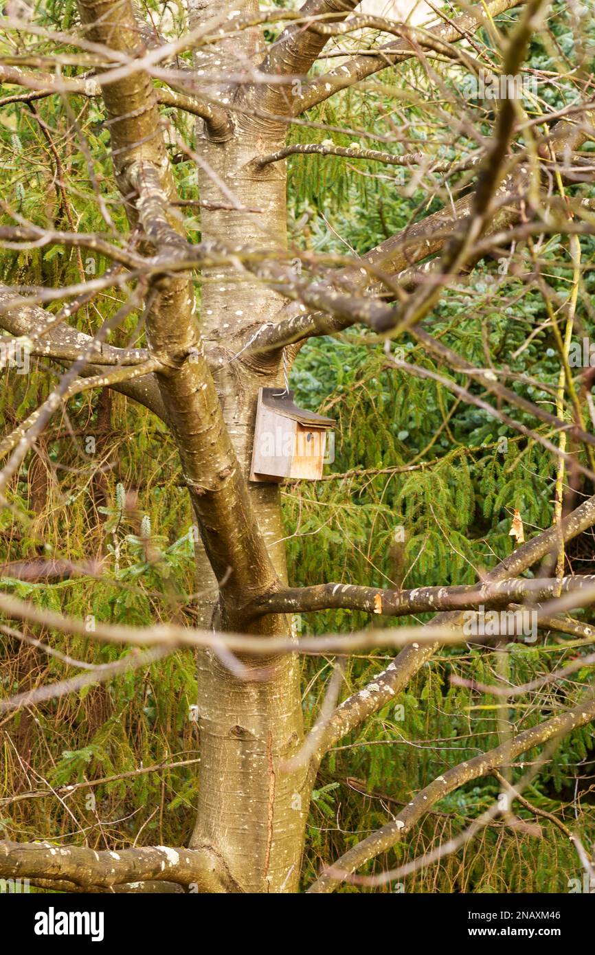 Hanging birdhouse no birds hi-res stock photography and images - Alamy