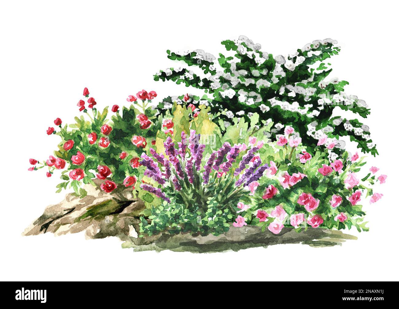 Garden flower bed, Landscape design . Hand drawn watercolor ...