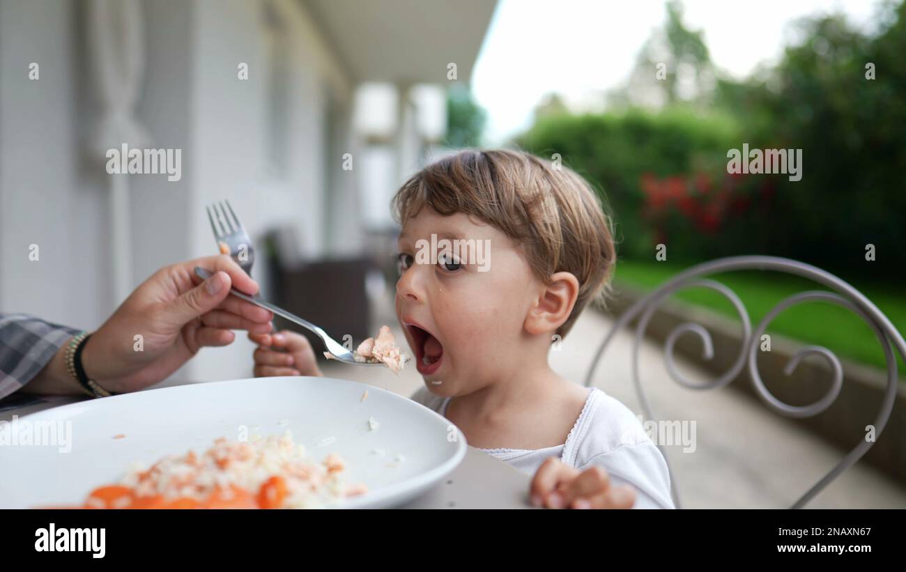 Mother feeding little boy lunch at home backyard. Little boy eating ...