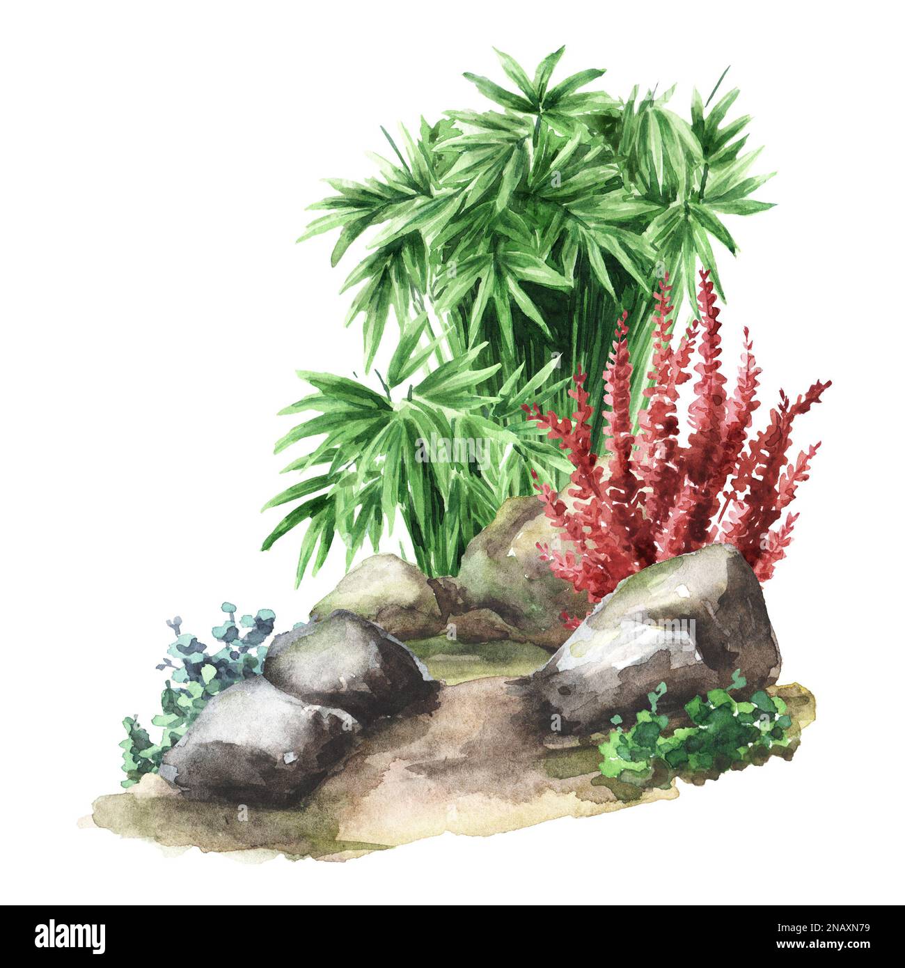 Garden flower bed. Landscape design . Hand drawn watercolor ...