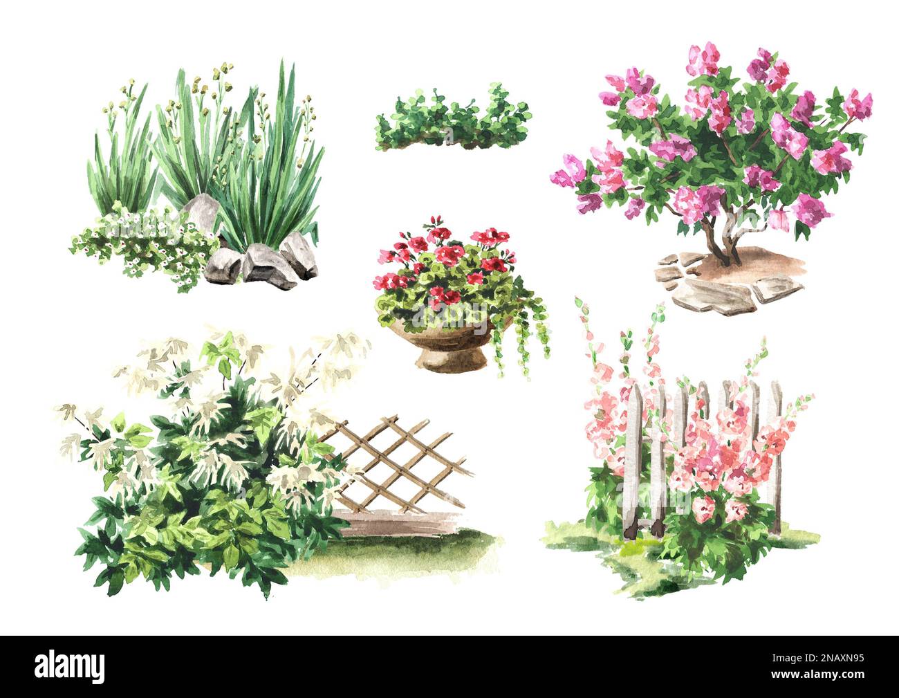 Garden blooming flower bed set. Landscape design set. Hand drawn ...