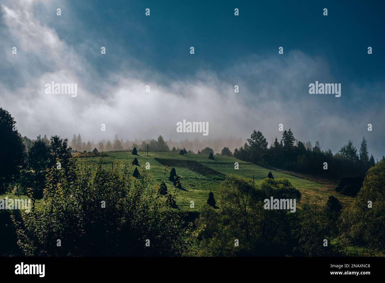 Beautiful summer landscape - mountain valley on a sunrise with fog ...