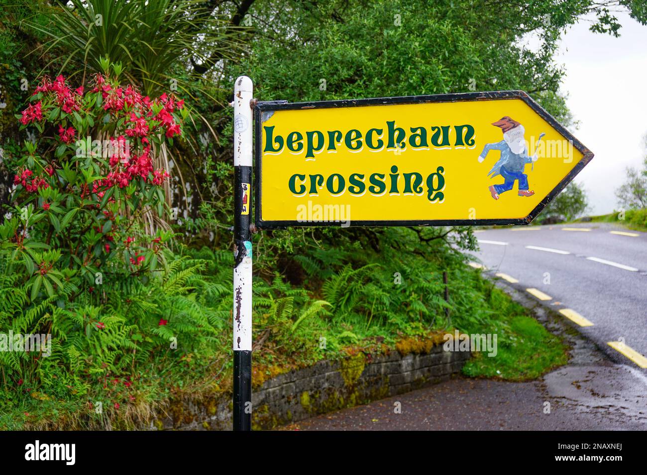 The killarney road hi-res stock photography and images - Alamy