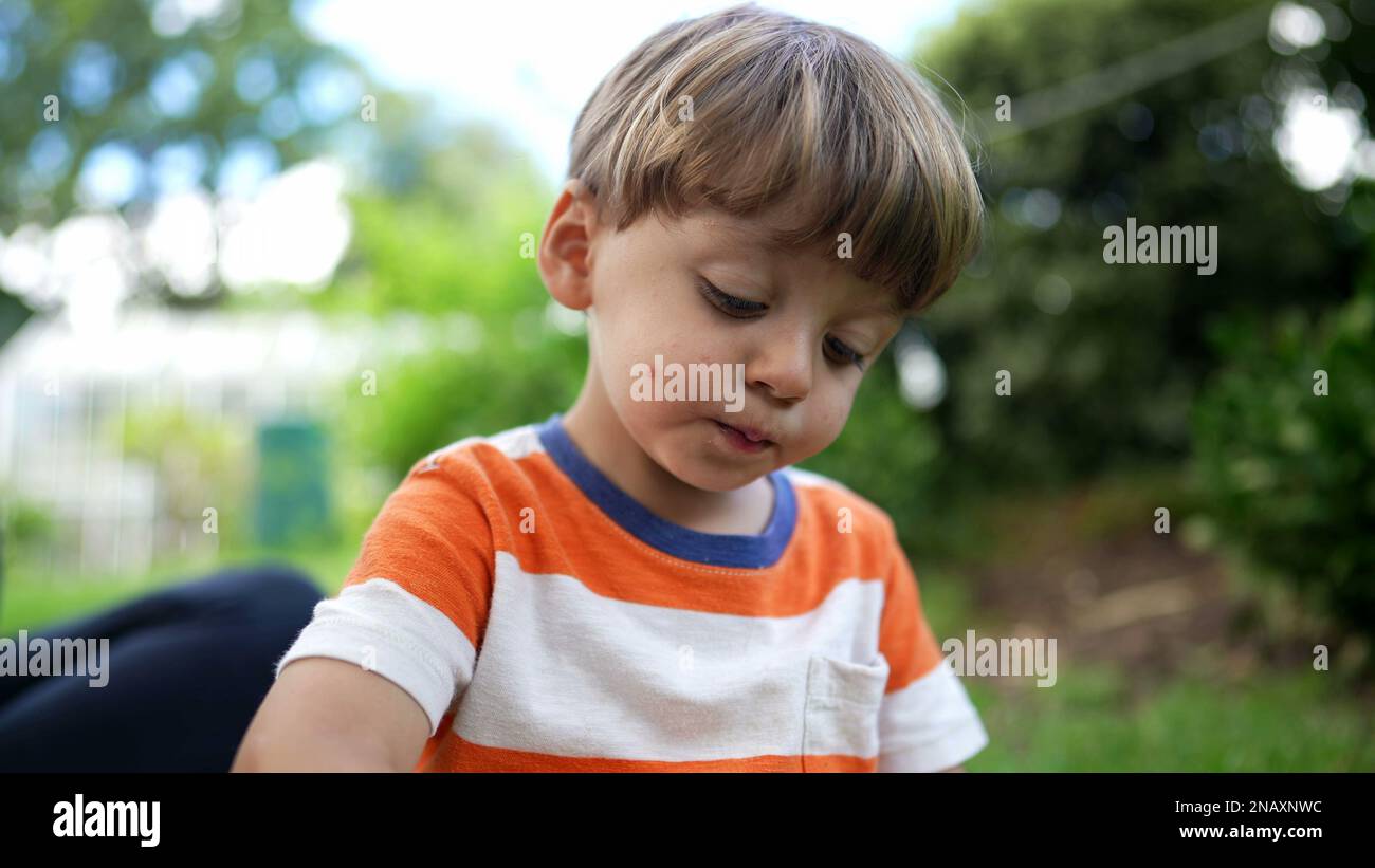 One cute little boy eating blueberries snack in picnic. Portrait ...