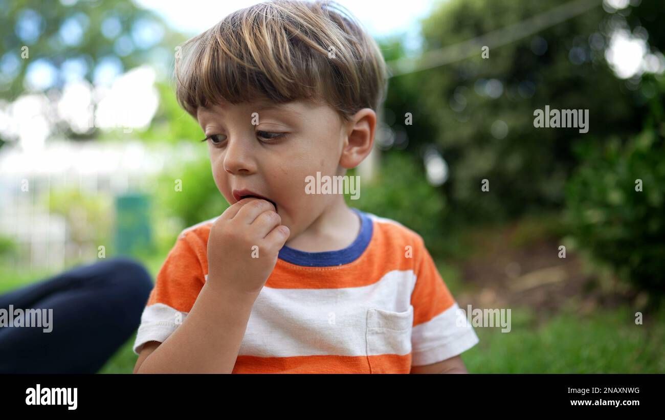 One cute little boy eating blueberries snack in picnic. Portrait ...