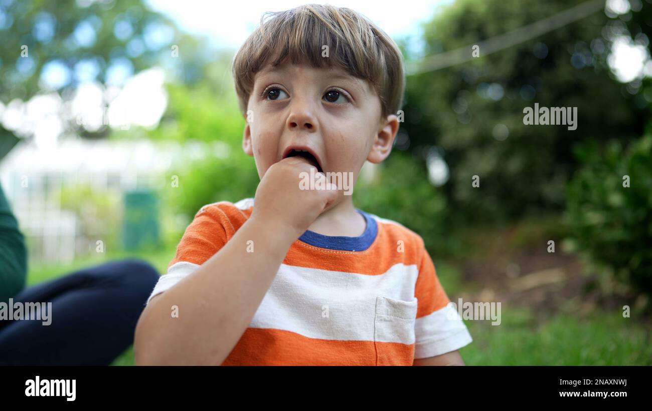 One cute little boy eating blueberries snack in picnic. Portrait ...