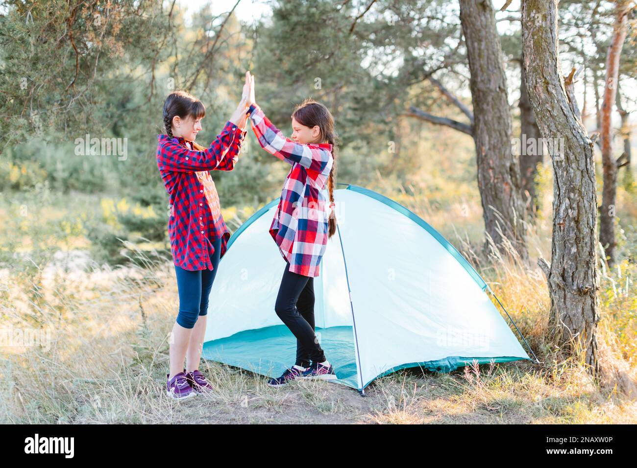 Cheerful teenage girls are satisfied with the work done and give each ...