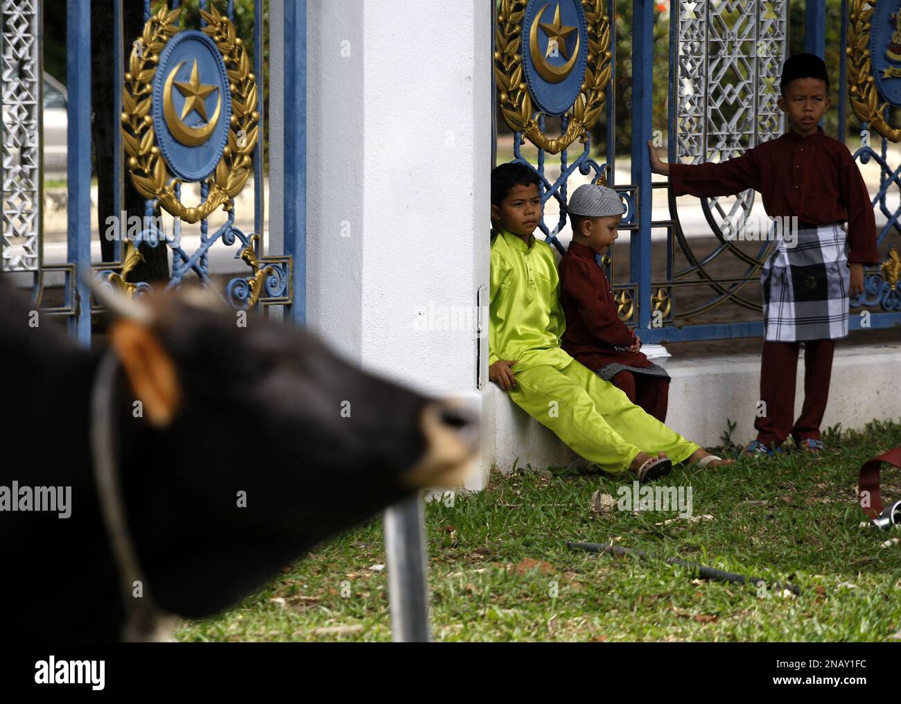 Malaysian Muslim children wait for a cow to get slaughtered for ...