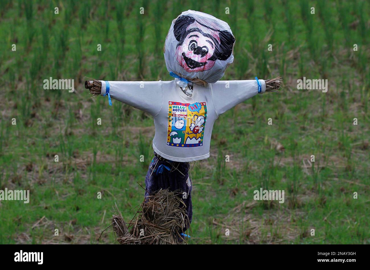 A Mickey Mouse-like scarecrow stands on a paddy field in Machida, Tokyo ...