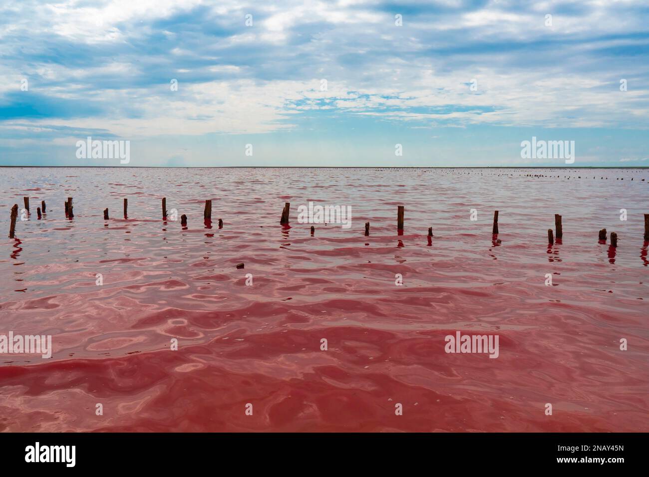 Ukraine. Panorama of salt pink lake. Incredible color of water ...