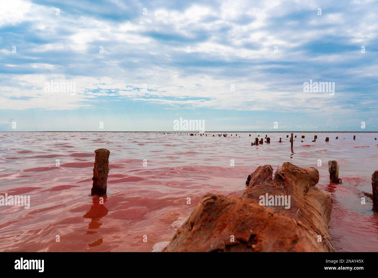 Ukraine. Panorama of salt pink lake. Incredible color of water ...