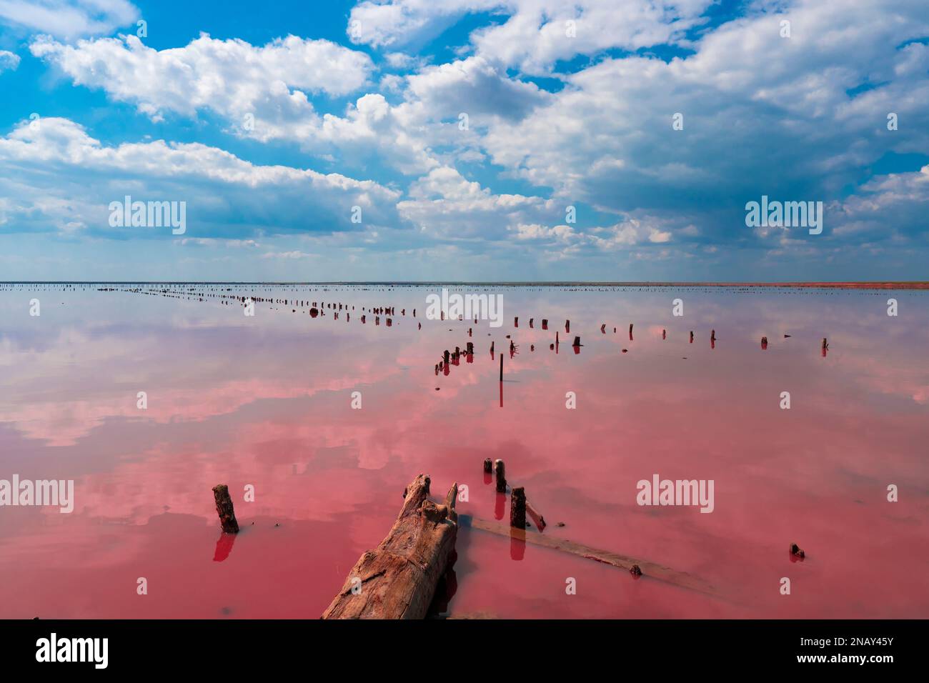 Ukraine. Panorama of salt pink lake. Incredible color of water ...
