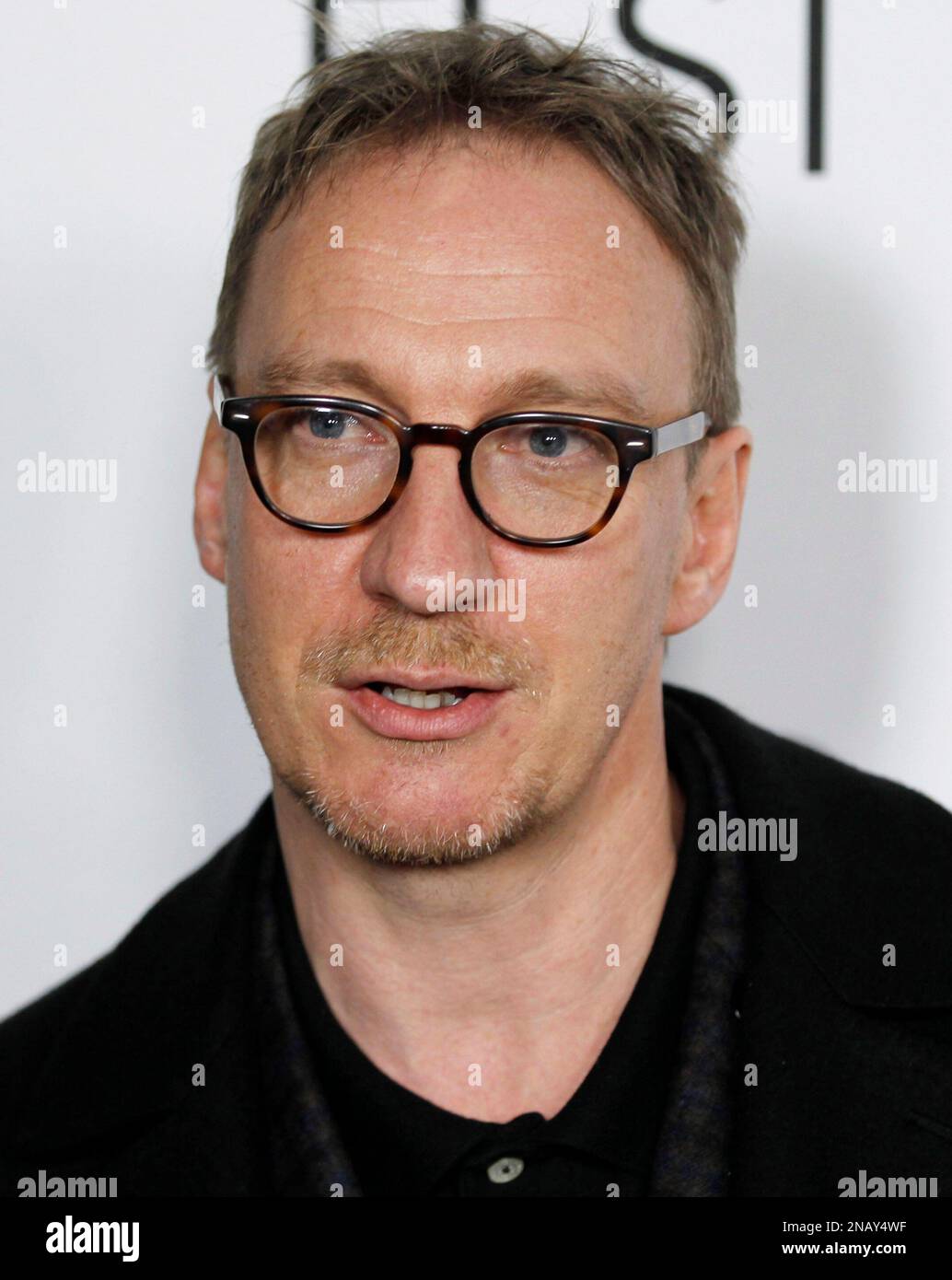 Cast member David Thewlis arrives at the premiere of "The Lady" during ...