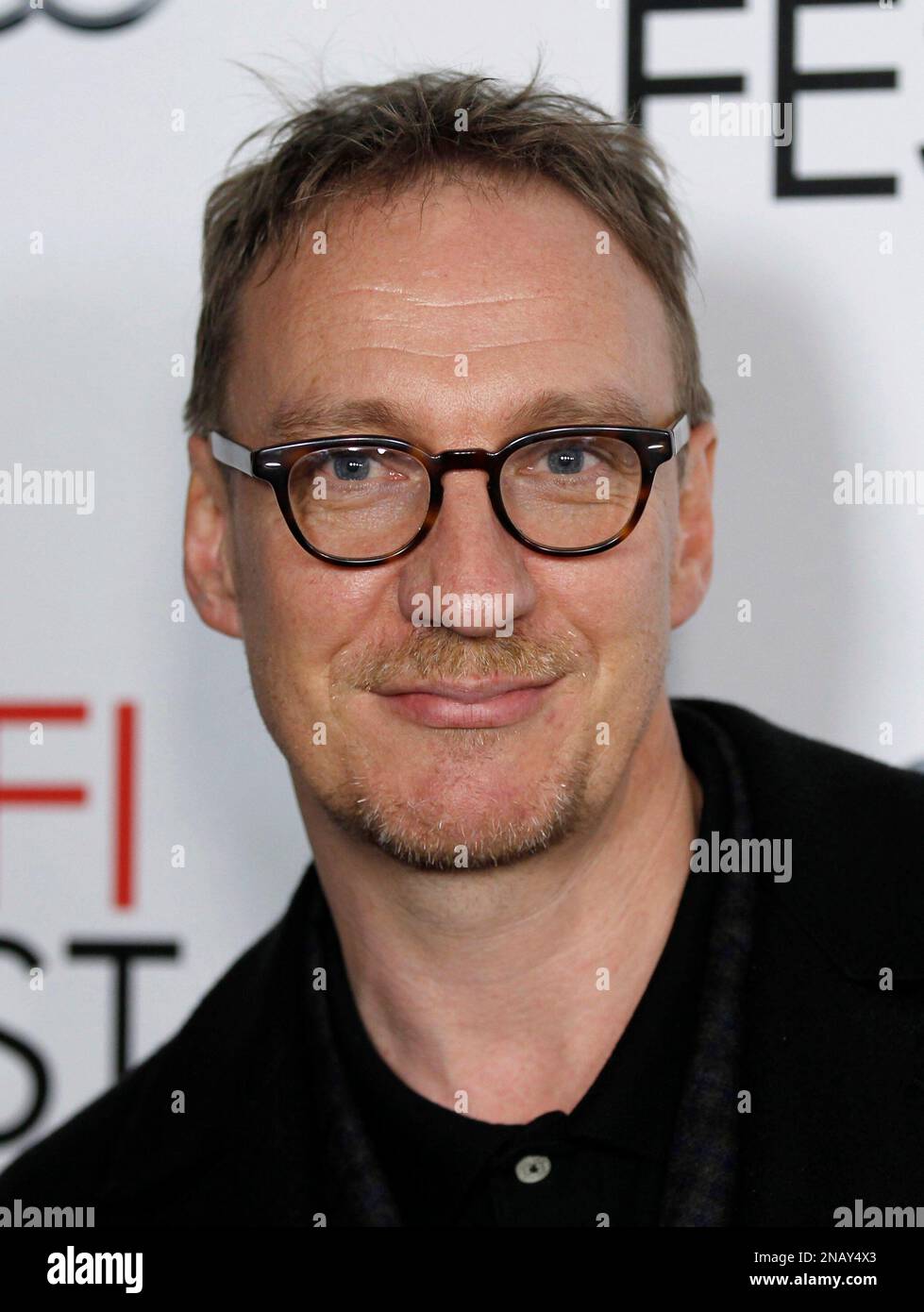 Cast member David Thewlis arrives at the premiere of "The Lady" during ...