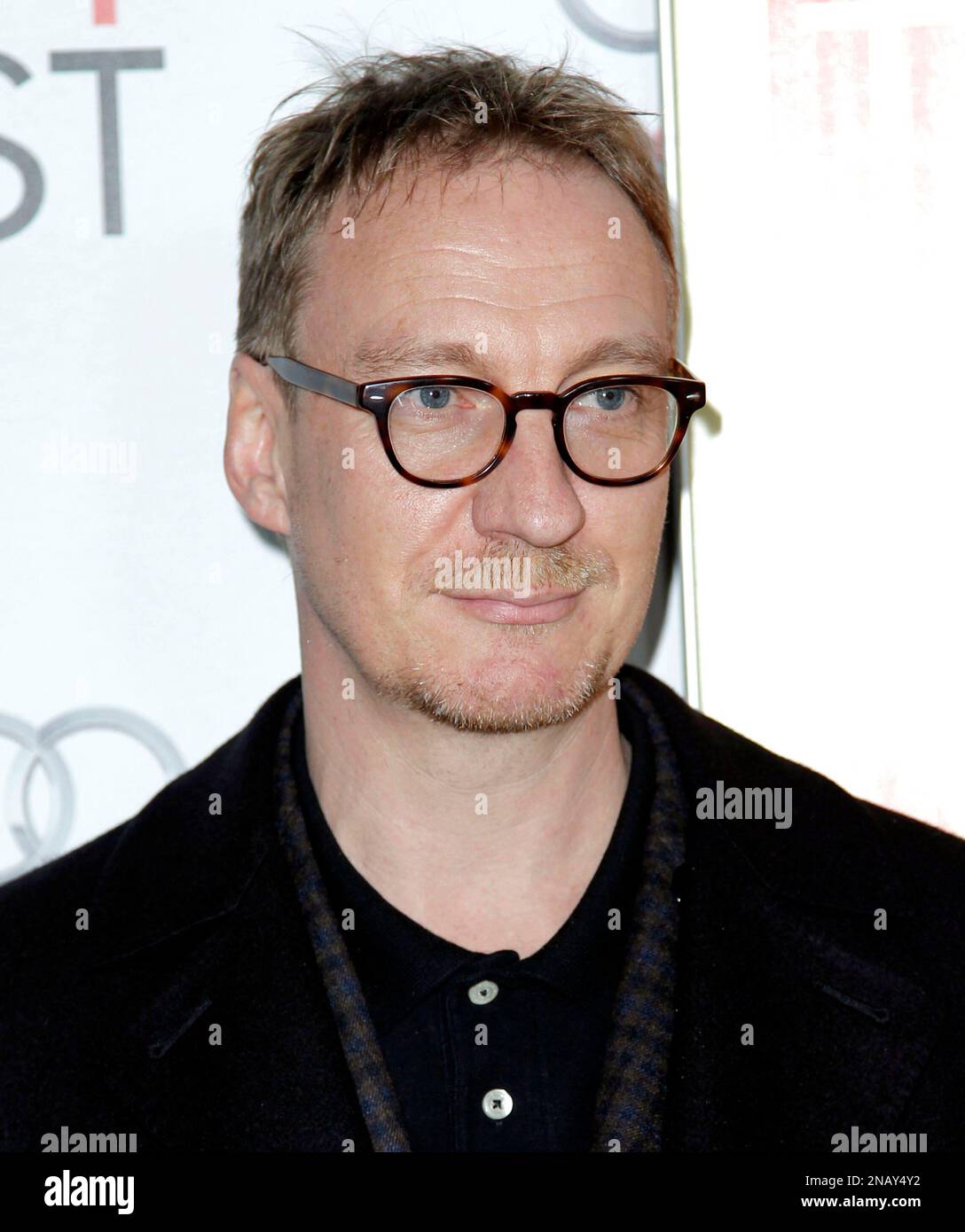 Cast member David Thewlis arrives at the premiere of "The Lady" during ...