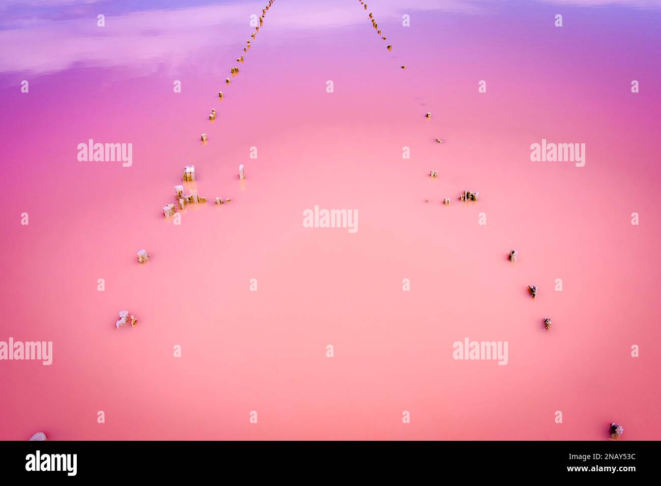 Ukraine. Salty pink lake. Drone. Aerial view. Incredible color of water ...