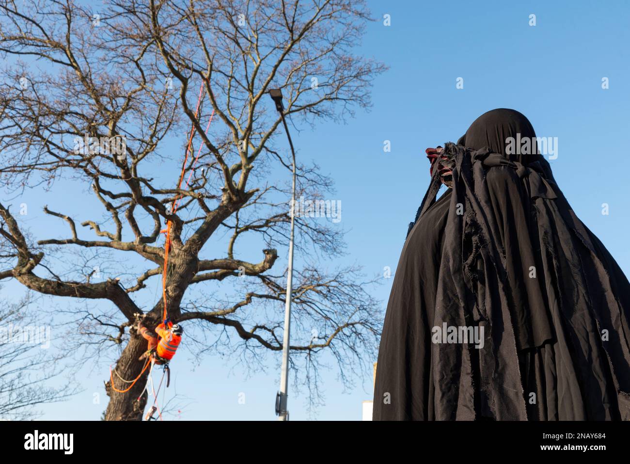 Holt farm oak tree hi-res stock photography and images - Alamy