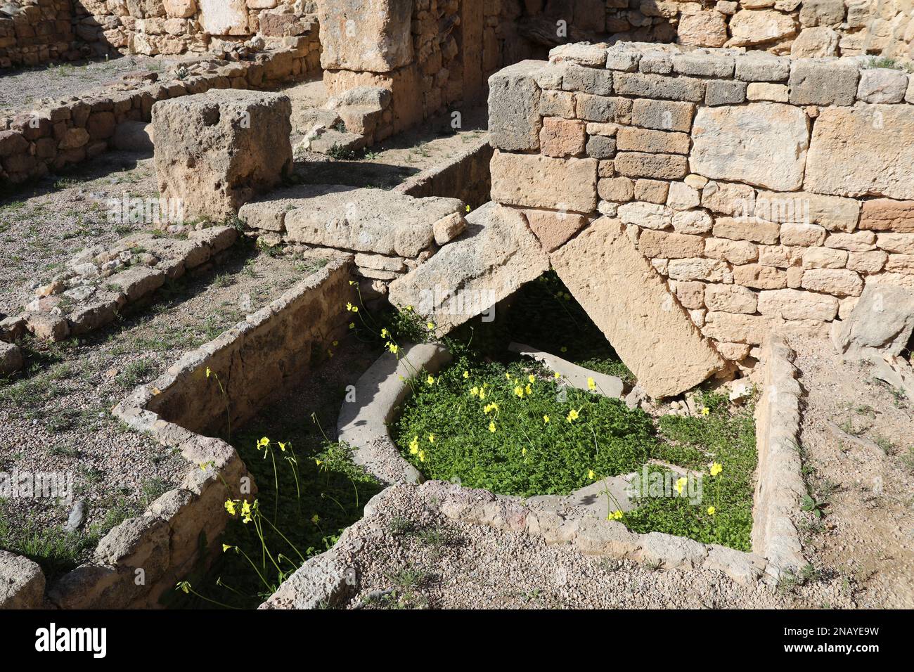 Africa ancient civilizations hi-res stock photography and images - Alamy