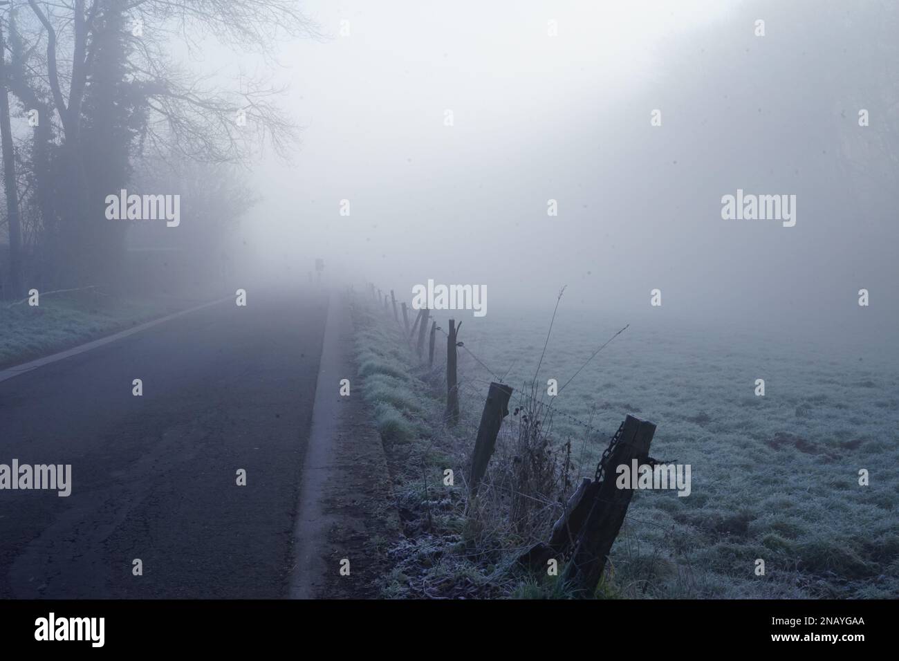 Best fog hi-res stock photography and images - Alamy