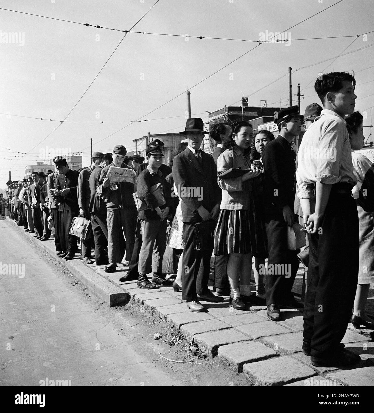 Japanese people, trained by years of experience to queue up stand in ...