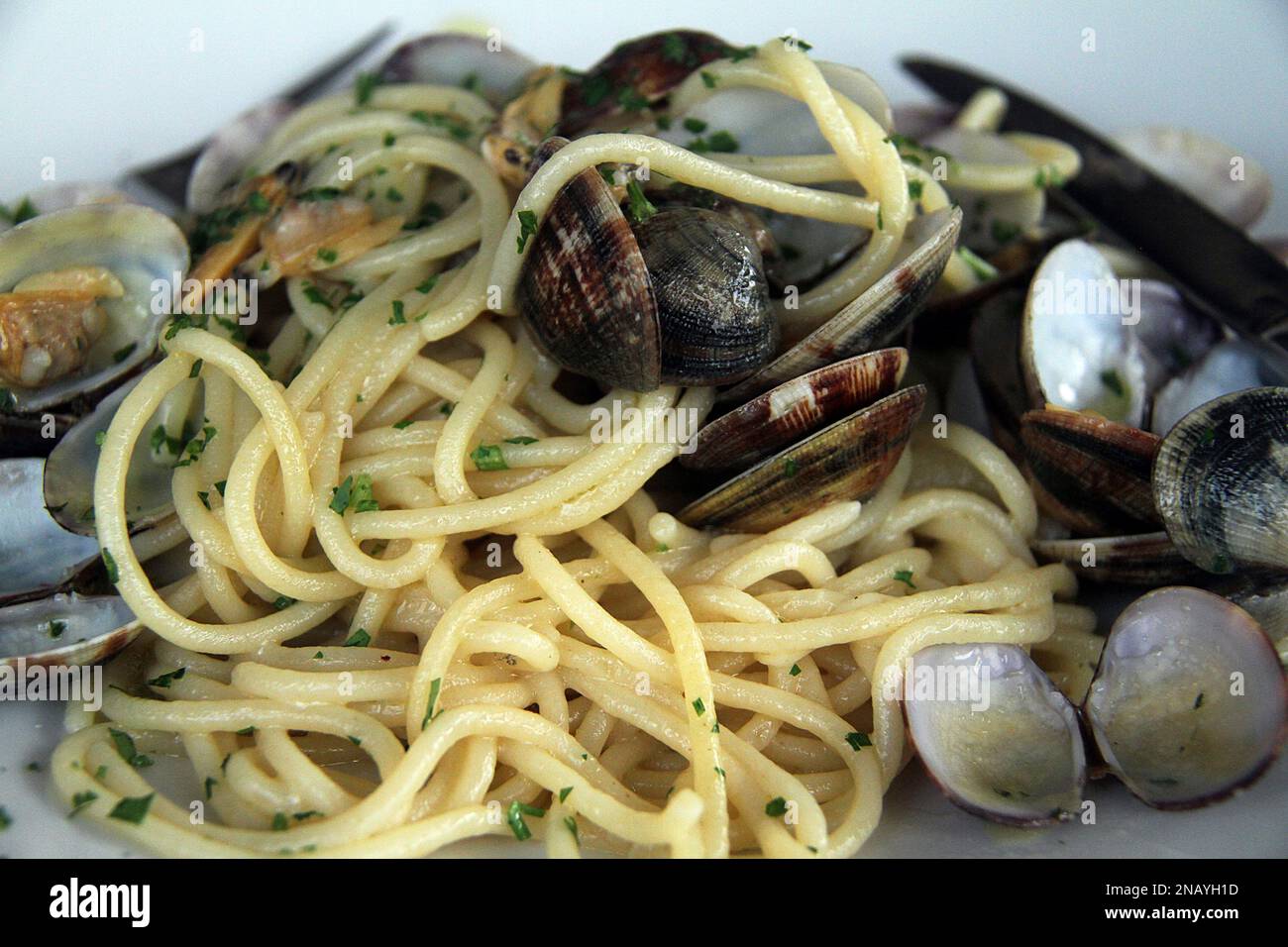 Close-up of an authentic Neapolitan/ Italian dish of spaghetti with ...