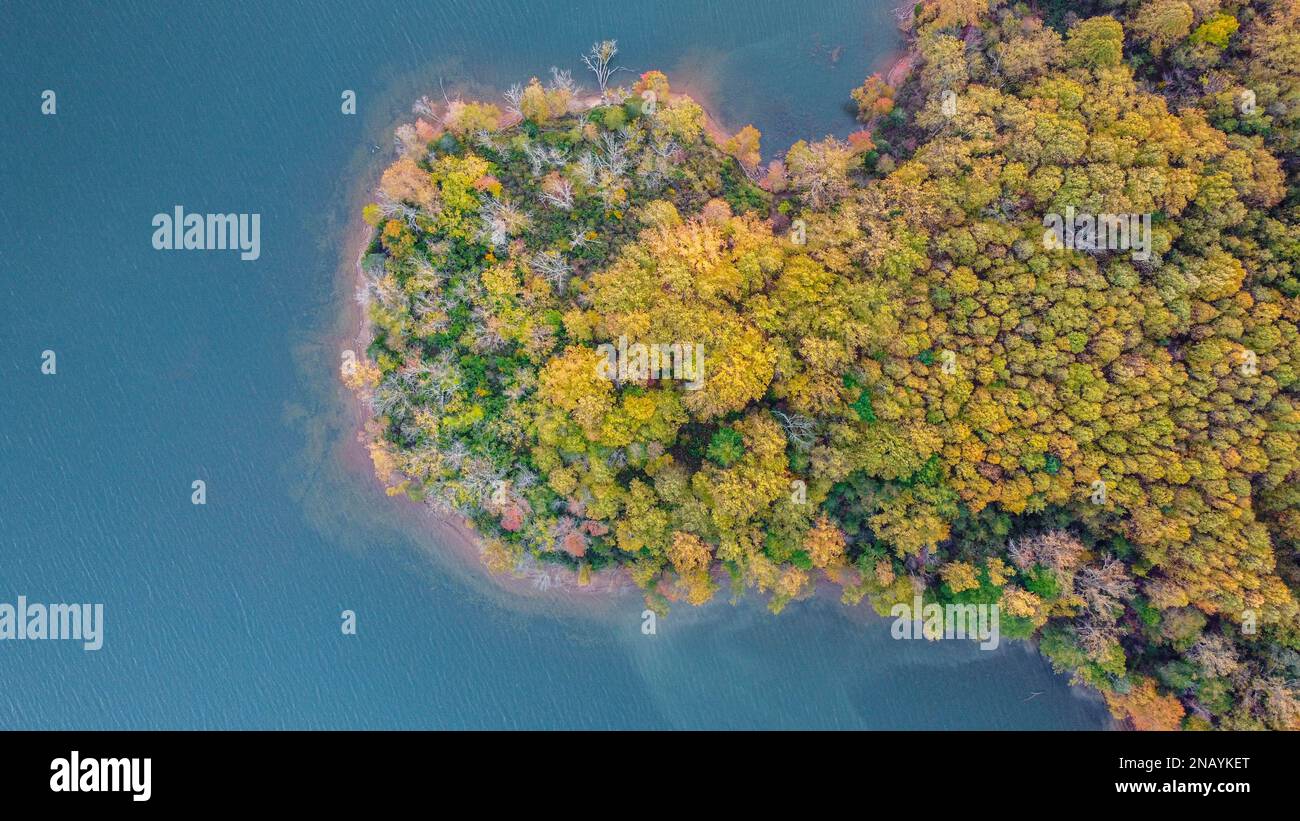 Raven in lush green hi-res stock photography and images - Alamy