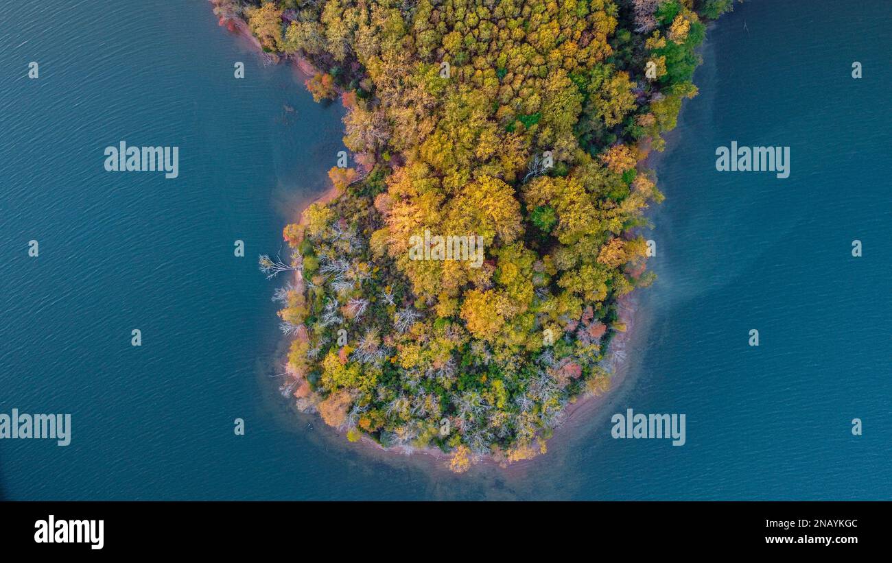 An aerial view of a lush green forest on the shore of Loch Raven Lake ...