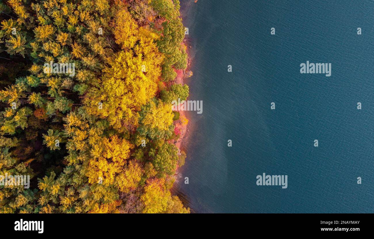 An aerial view of a lush green forest on the shore of Loch Raven Lake ...
