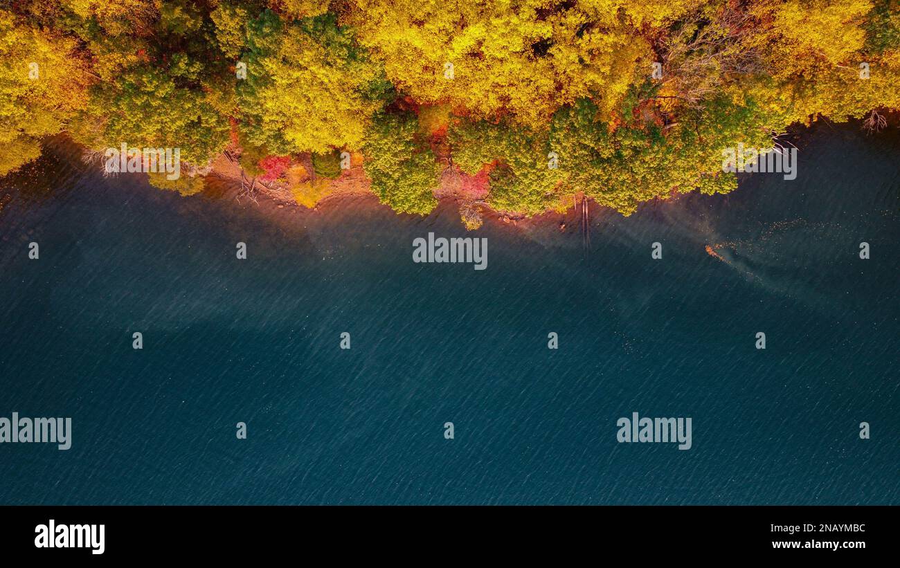 An aerial view of a lush green forest on the shore of Loch Raven Lake ...