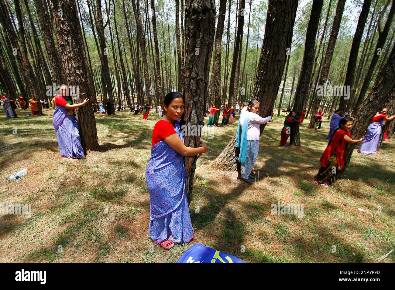 Nepalese people hug trees during a mass tree hugging on World ...