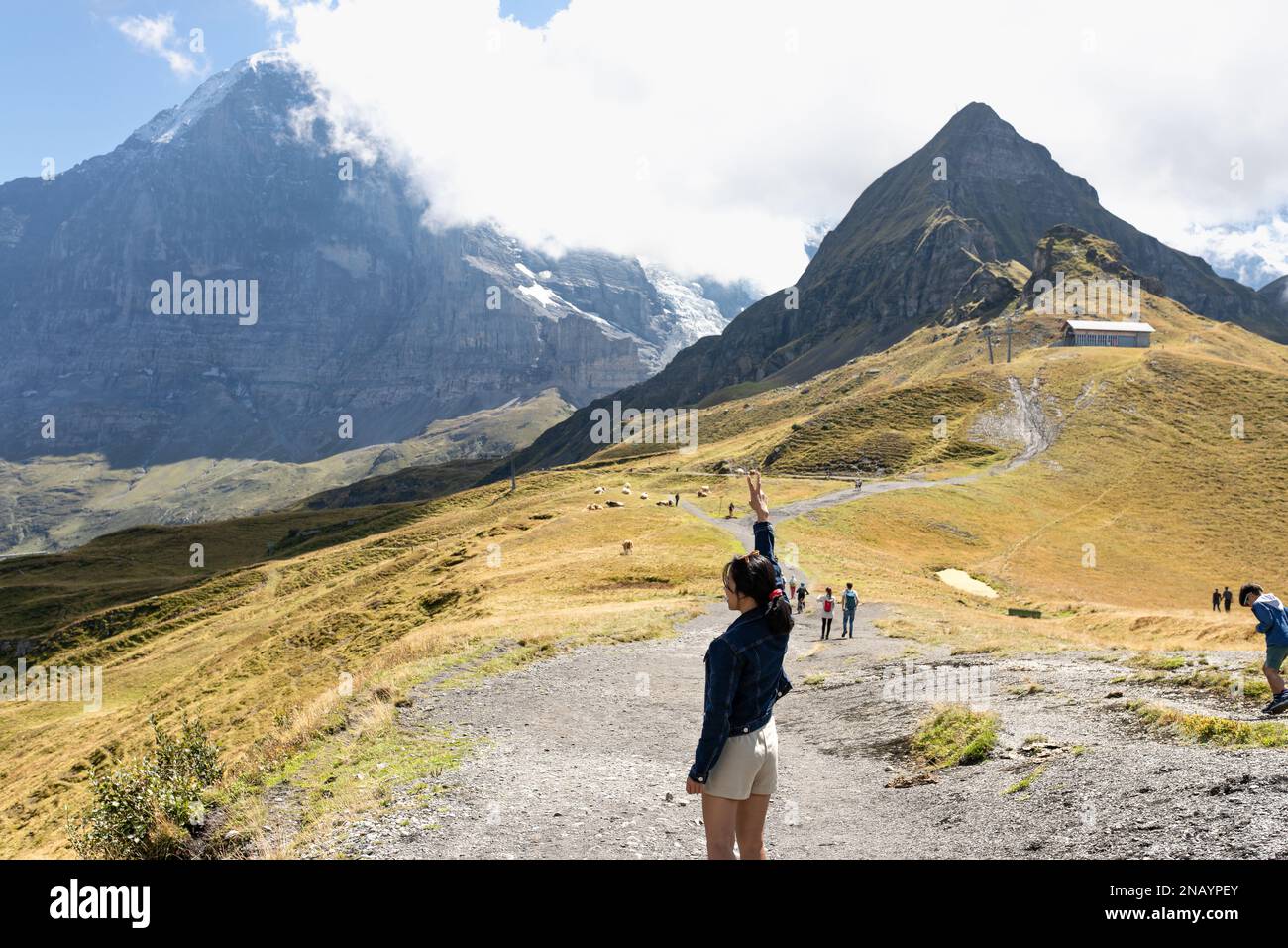Panorama Trail, Männlichen - Kleine Scheidegg. View of Monch, Eiger and ...