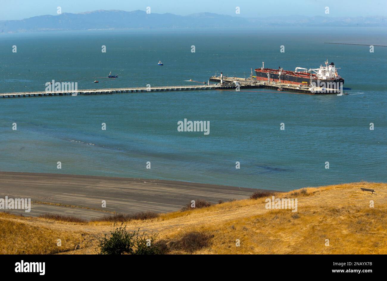 A dark substance is seen floating near the shoreline of San Pablo Bay ...